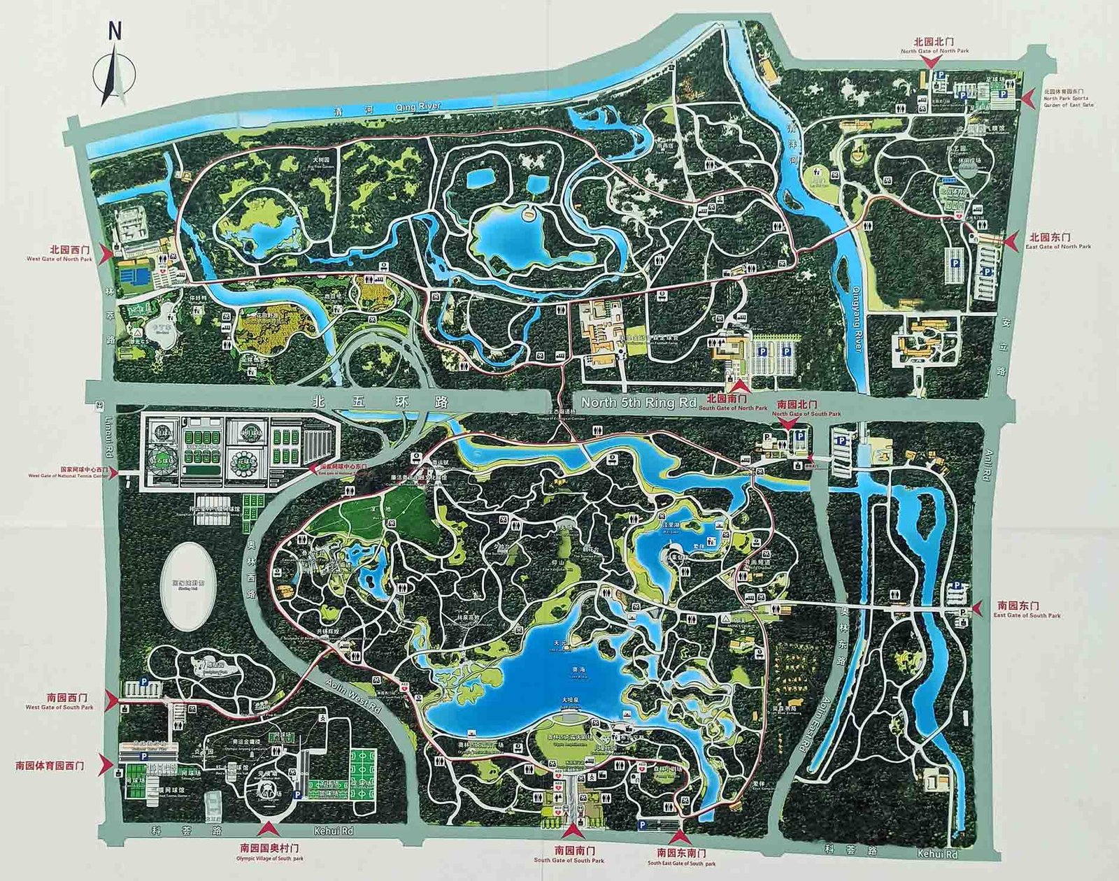 Marathon Training at the Beijing Olympic Forest Park